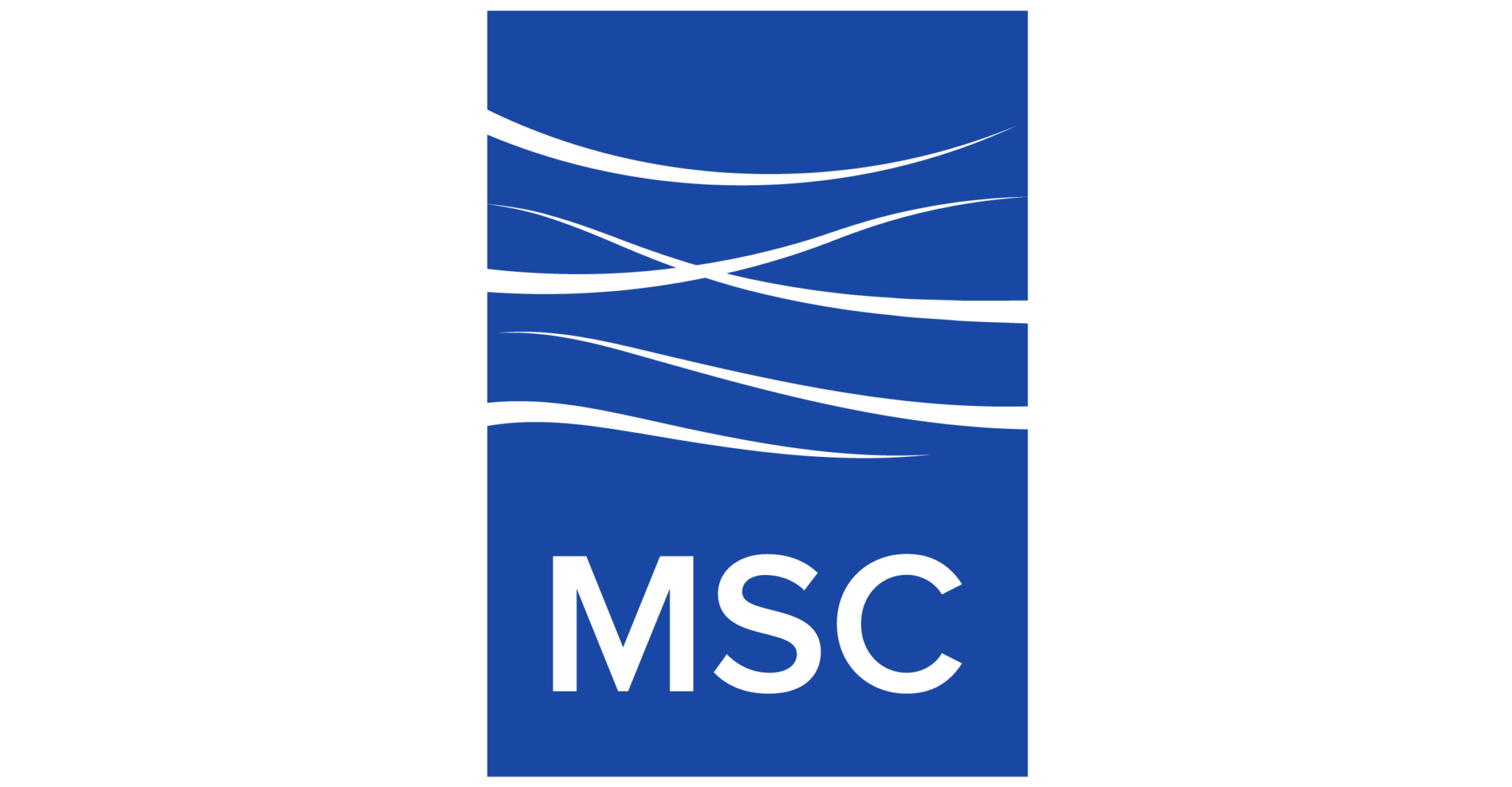 Movement Strategy Center - Movement Strategy Center